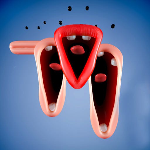 Viola the Bird 🕹️ Play Now for Free | RocketGames