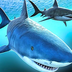 Sharks 3D Multiplayer Unblocked 🕹️ Play Now for Free | RocketGames